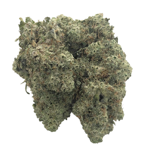 Donkey Breath - Healing Hempire