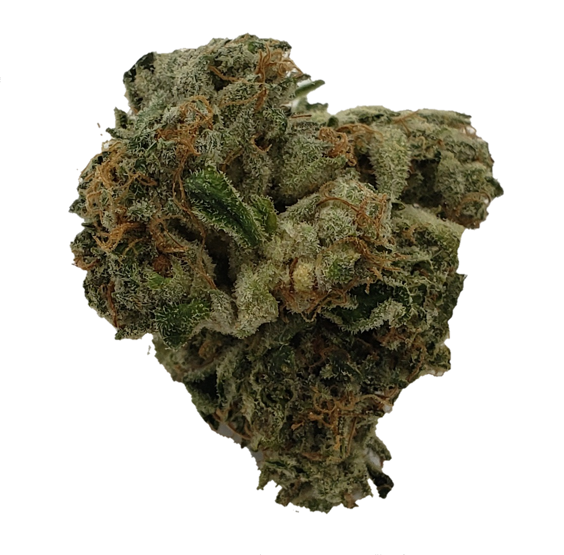 Gas Bob - Healing Hempire