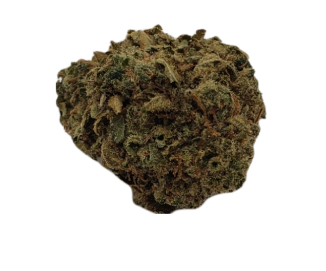 Magic Dragon - Healing Hempire