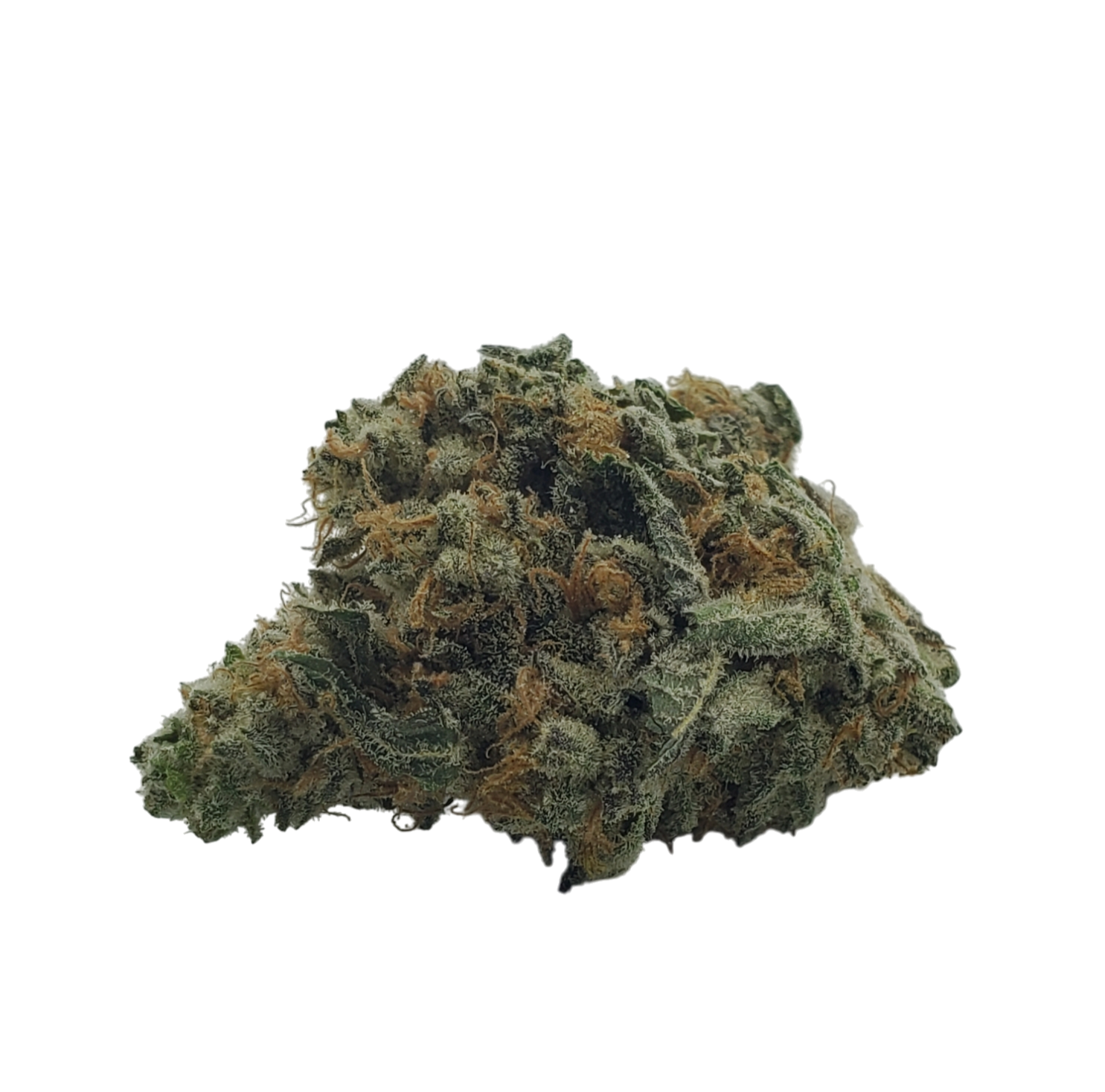 Devil's Driver - Healing Hempire