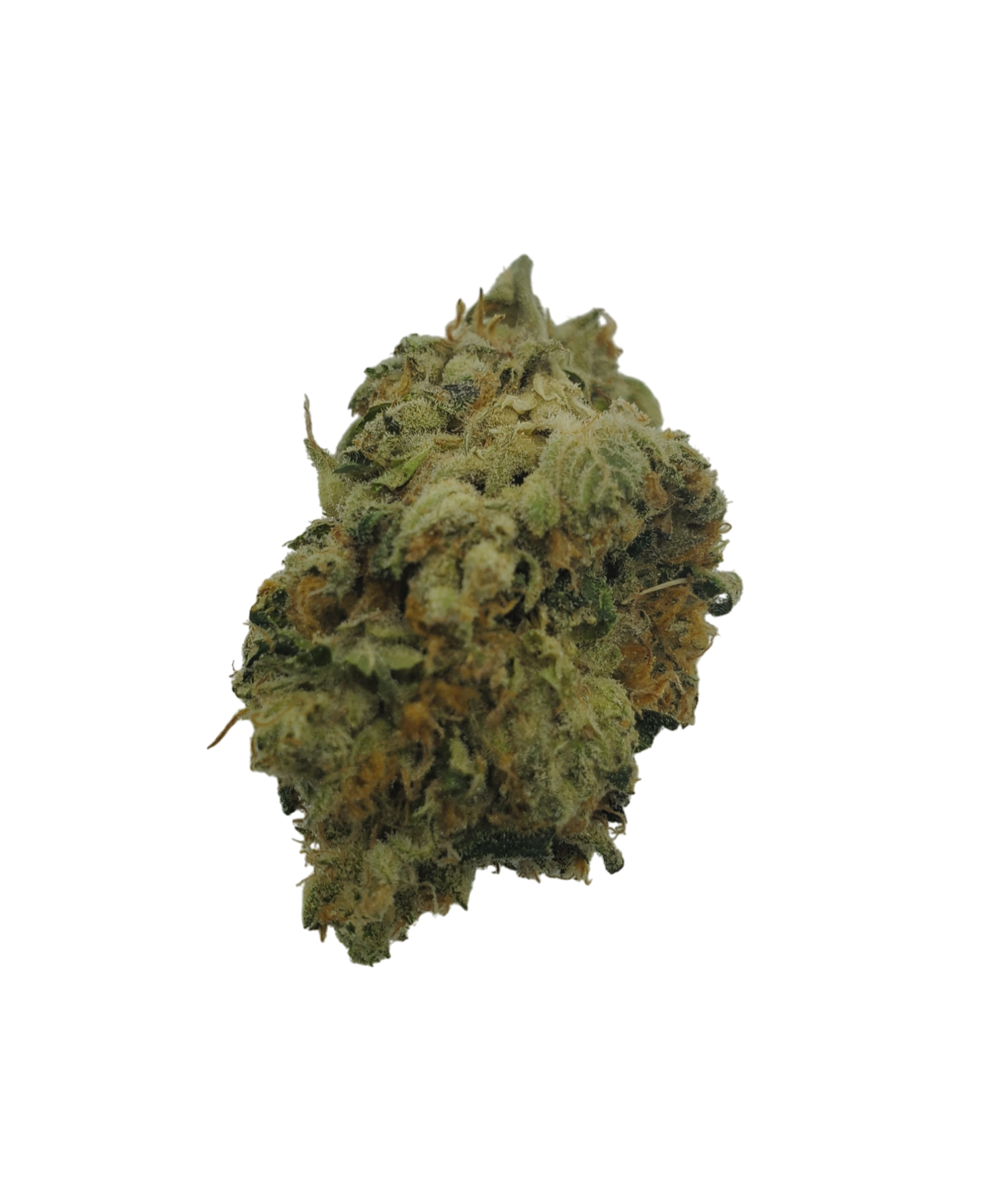 Jokers - Healing Hempire