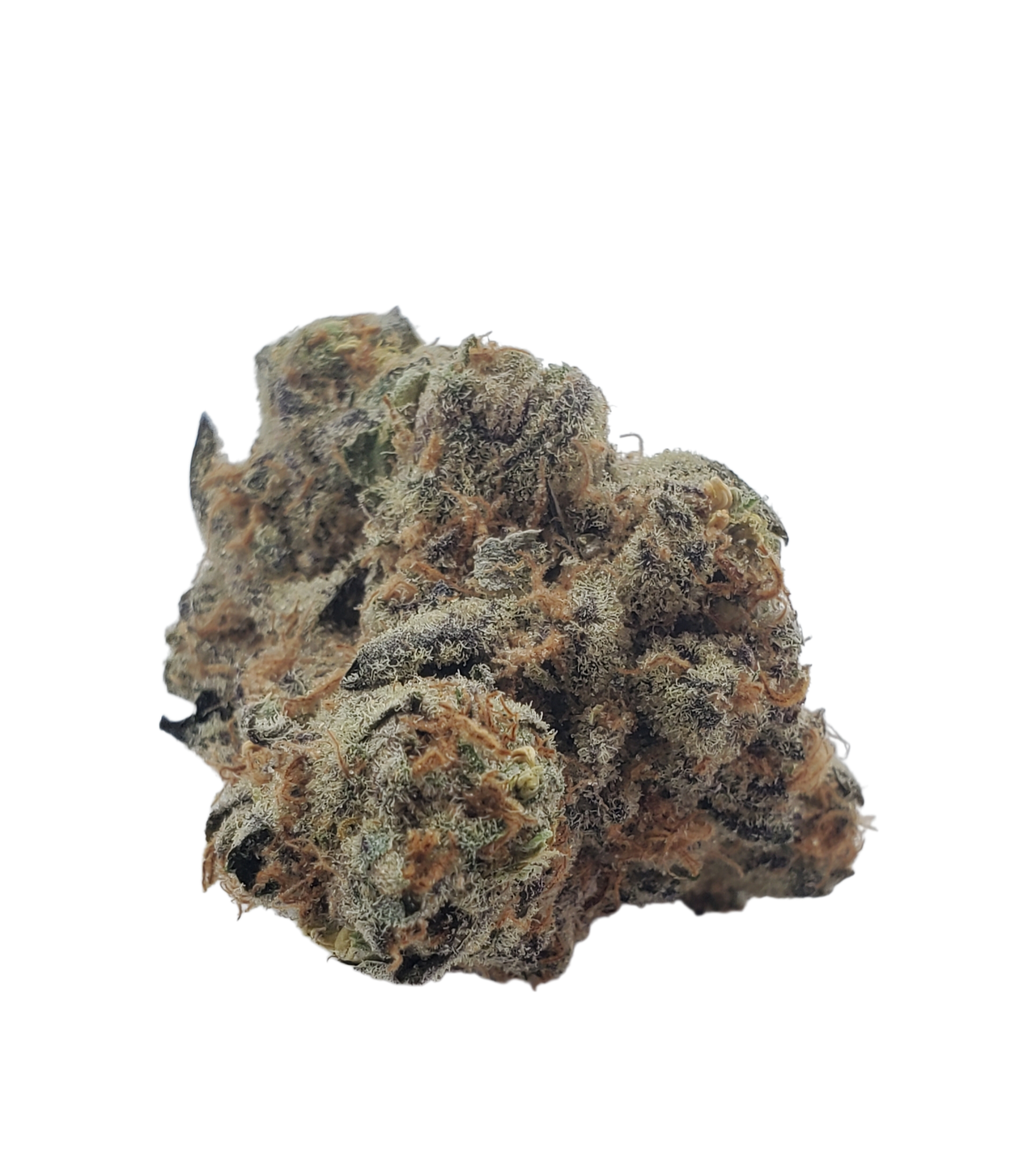 Brightside - Healing Hempire